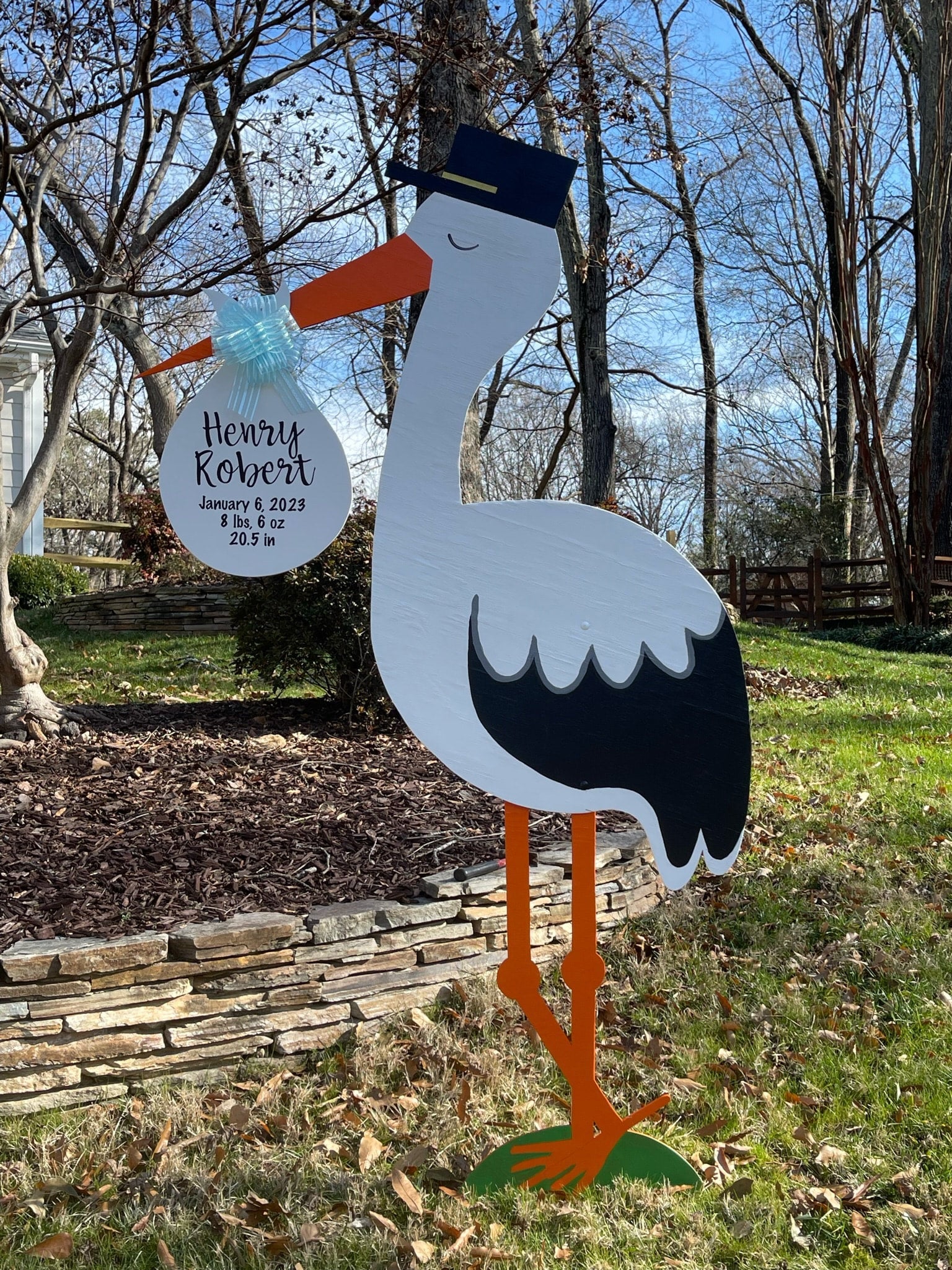 Baby Stork Announcement